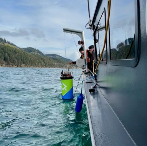 Subsea Sentinel | Cellula Robotics | Products